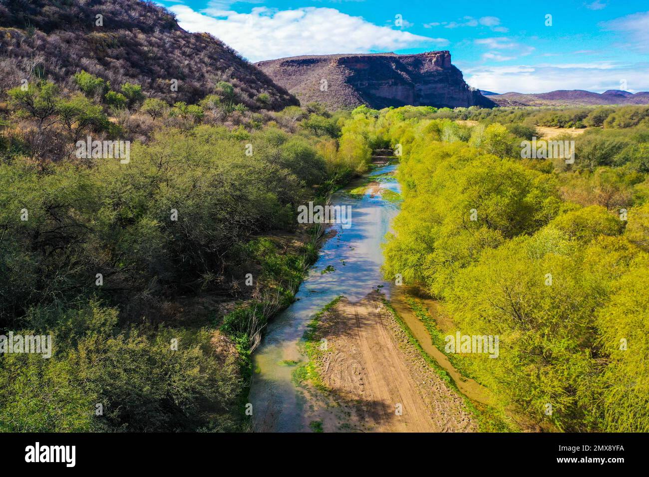 Biodiversidad de mexico hi-res stock photography and images - Alamy