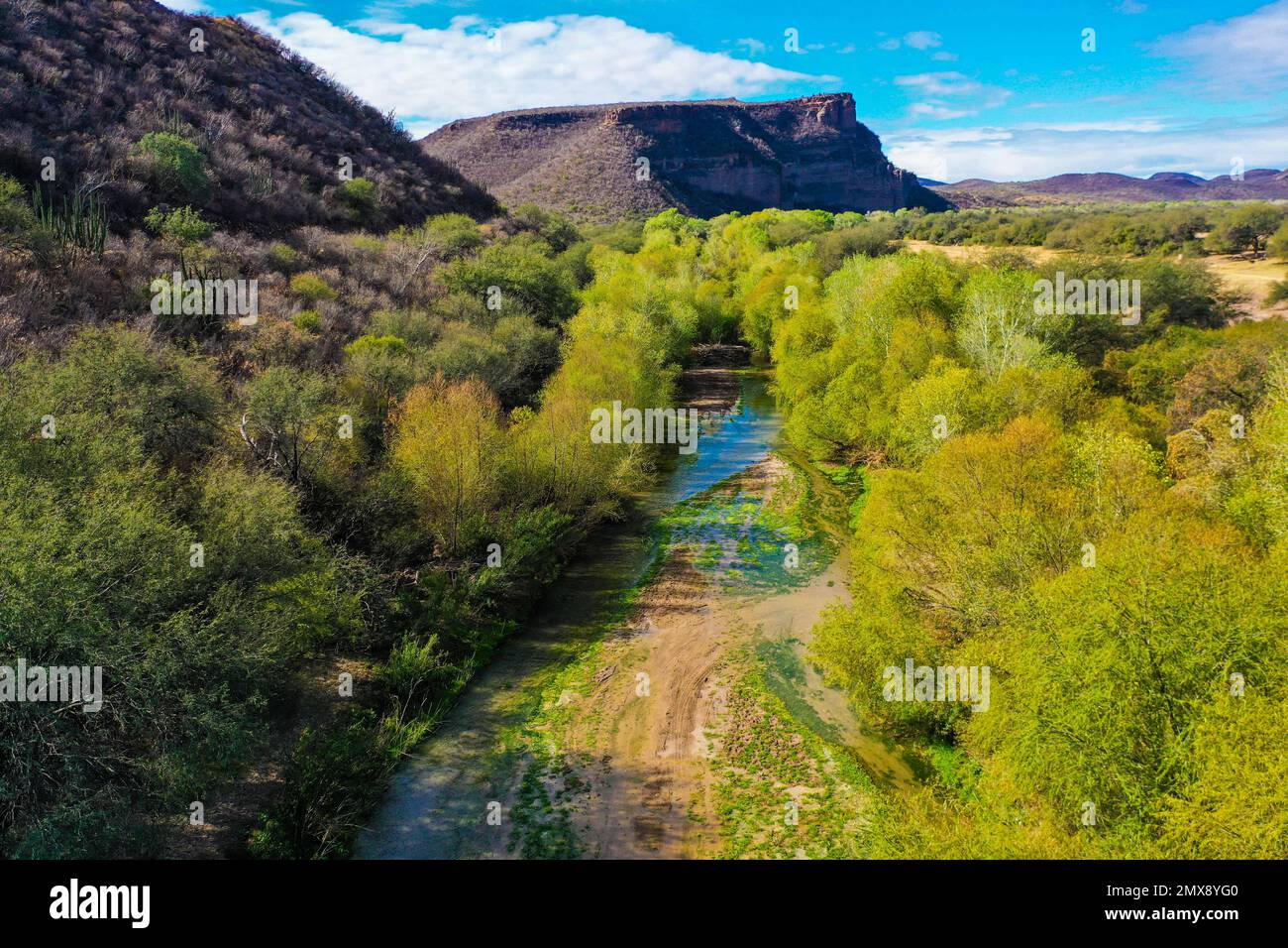 Biodiversidad de mexico hi-res stock photography and images - Alamy