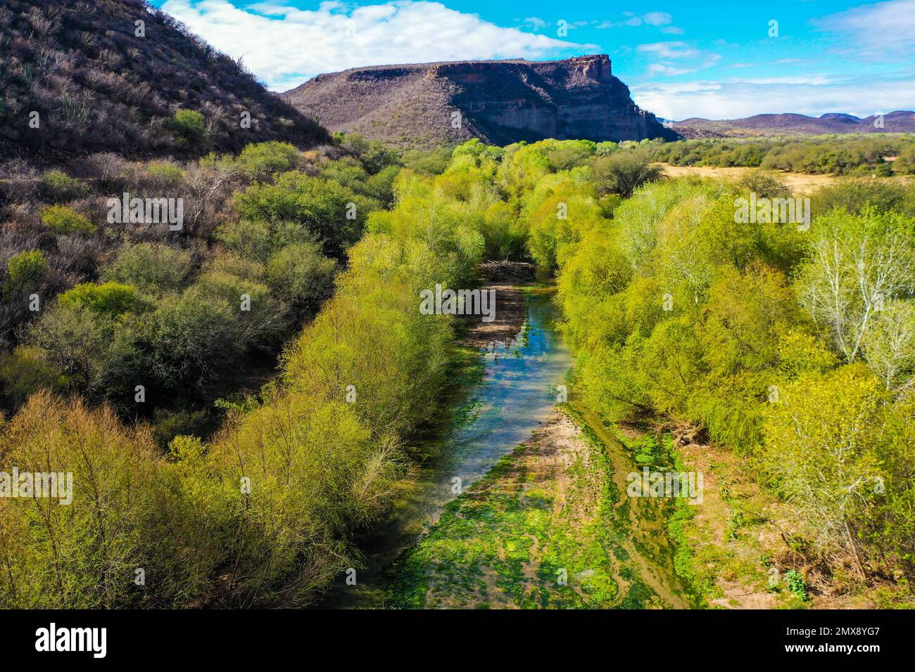Biodiversidad de mexico hi-res stock photography and images - Alamy