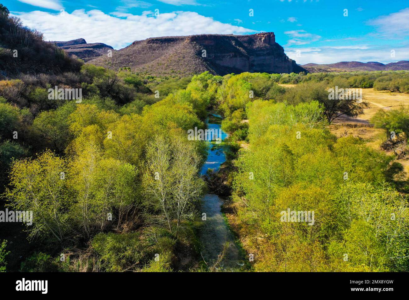 Biodiversidad de mexico hi-res stock photography and images - Alamy