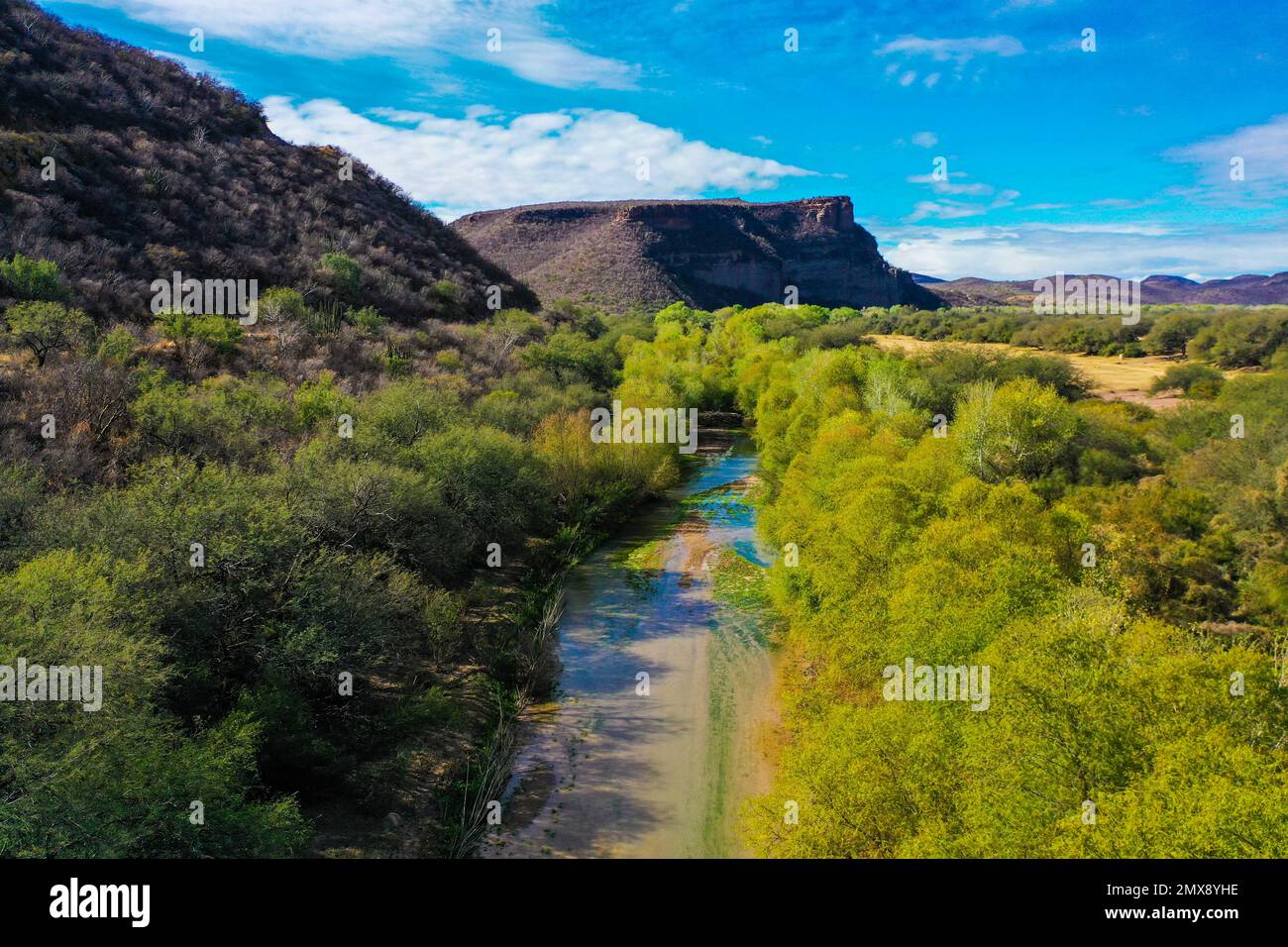 Biodiversidad de mexico hi-res stock photography and images - Alamy
