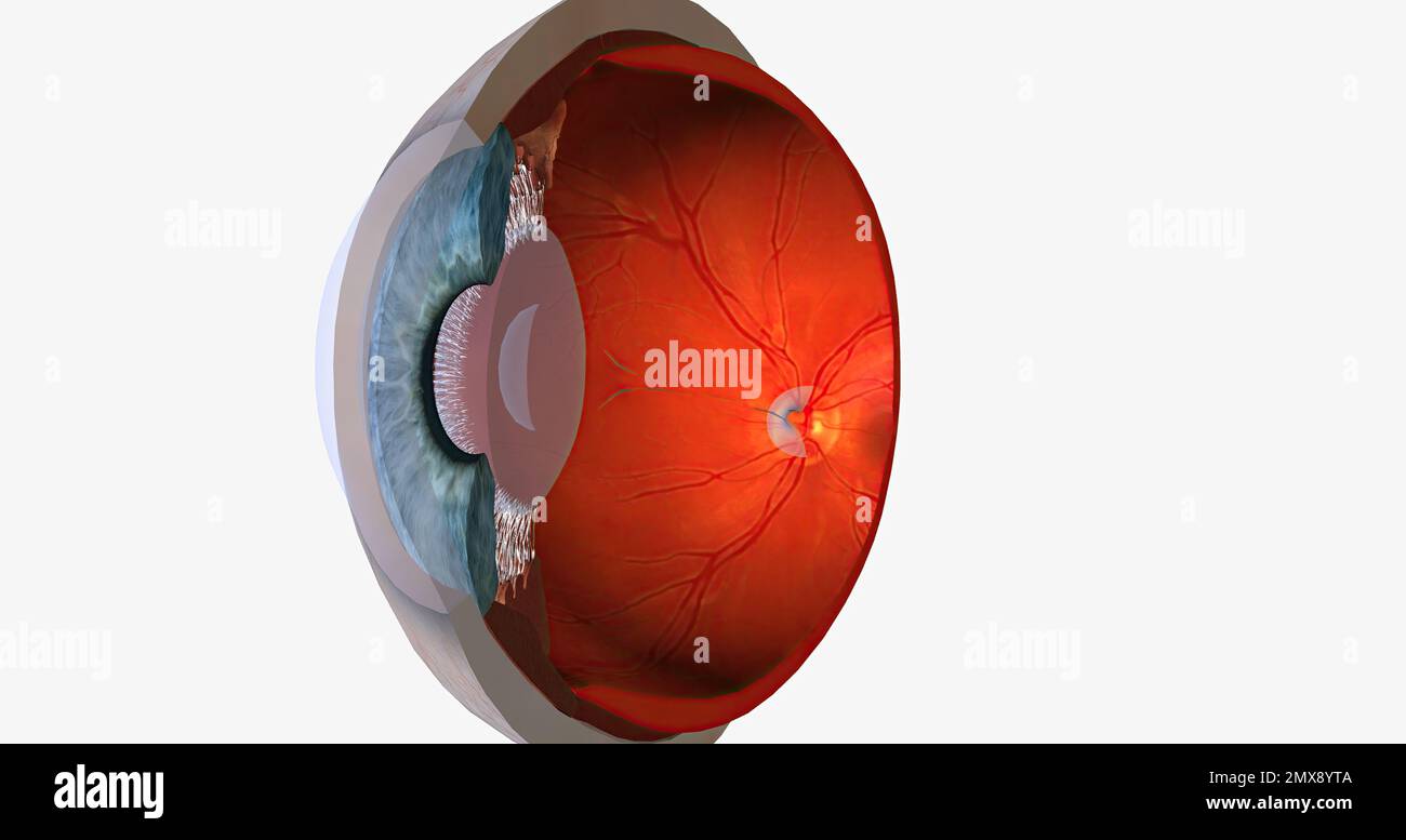 Massaging ophthalmology hi-res stock photography and images - Alamy