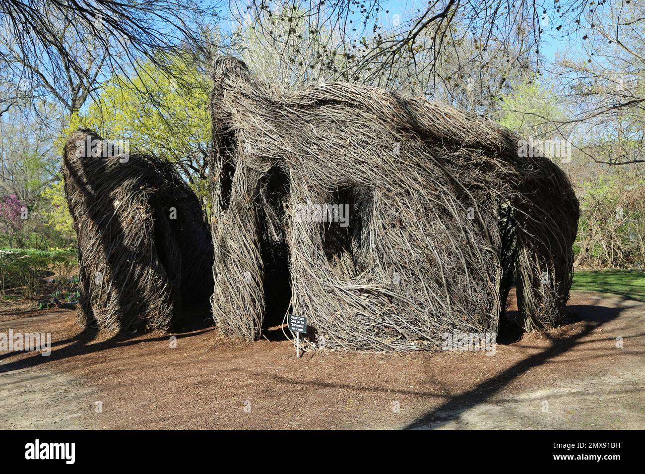 Stickwork under tree - Fort Worth Botanic Garden, Texas Stock Photo - Alamy
