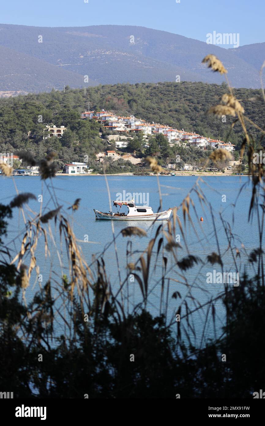 Milas, Mugla, Turkey : 24 January 2023 In the Kazıklı village of Milas ...