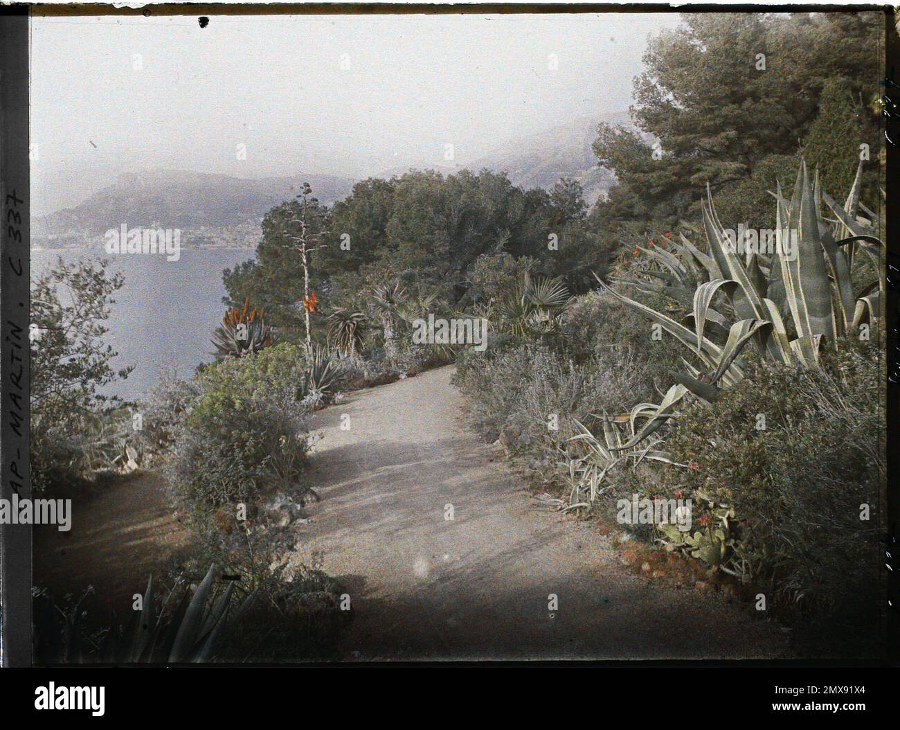 Cap Martin, France a garden alley with Monaco in the background , 1921 ...