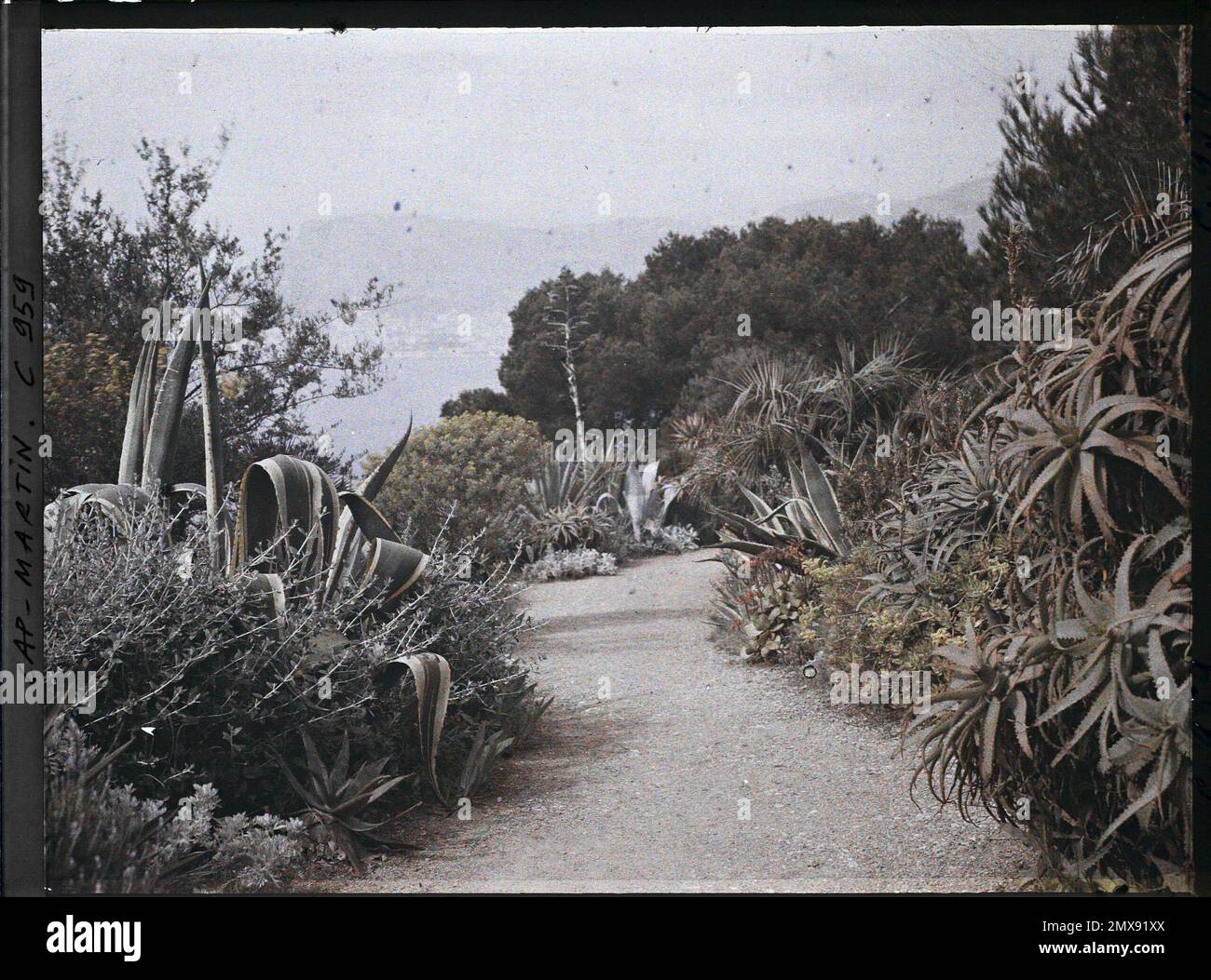 Cap Martin , France , 1927 - Cap Martin - Auguste Léon - (March -April ...