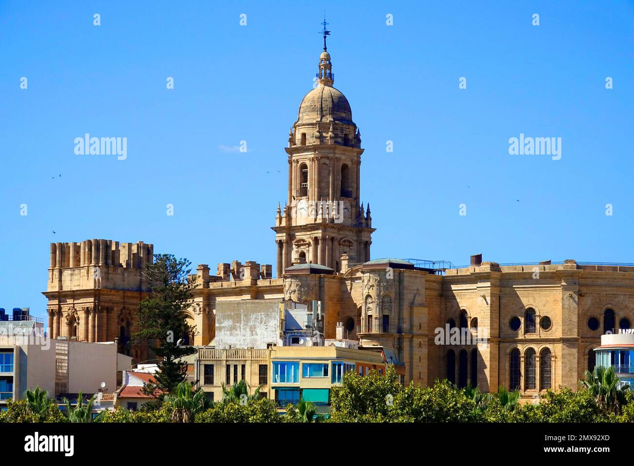 The Cathedral of MálagaMálaga is a municipality of Spain, capital of ...