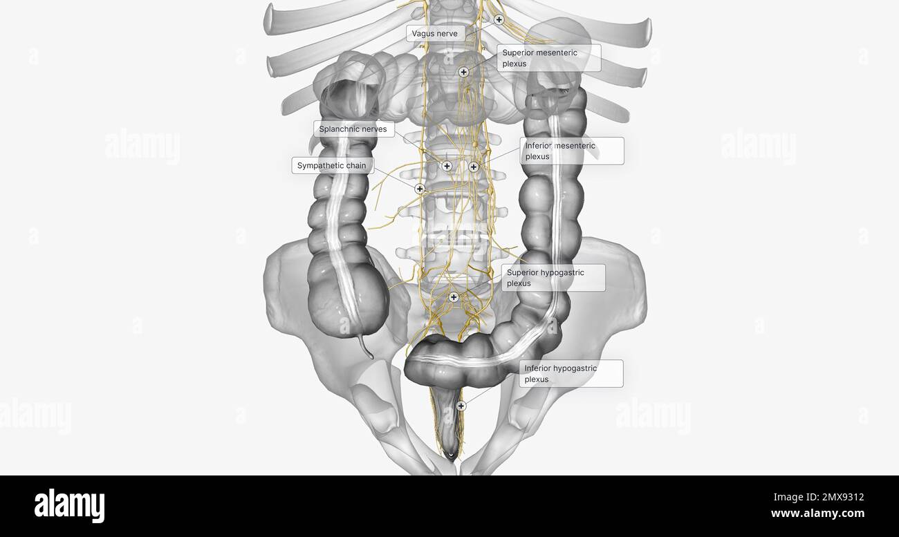 Bowel colic hi-res stock photography and images - Alamy
