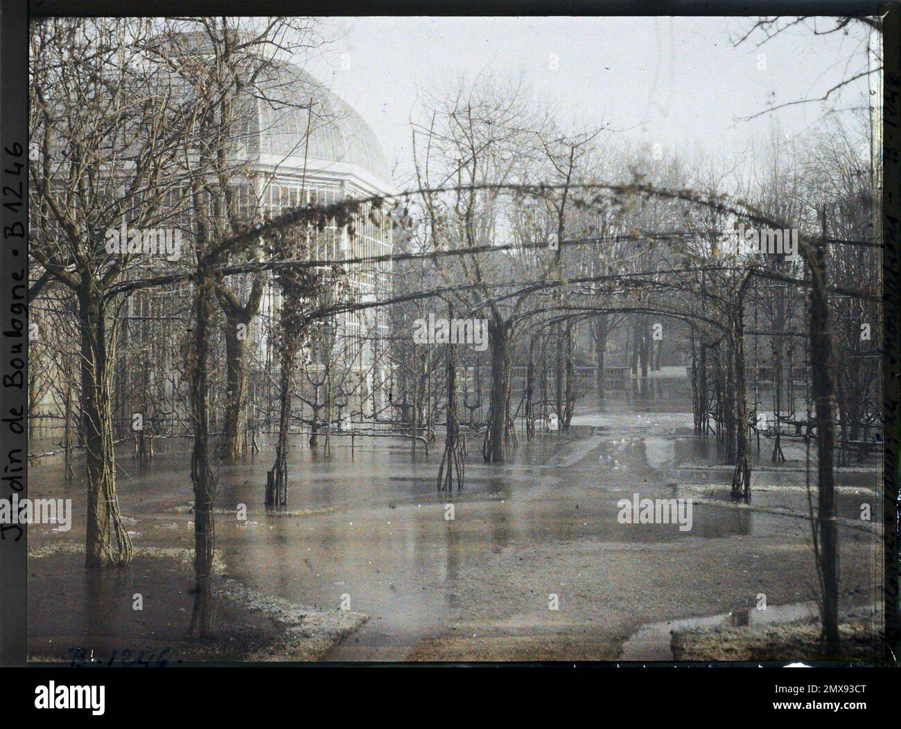 Natural phenomenon flood park garden nature environment habitat ...