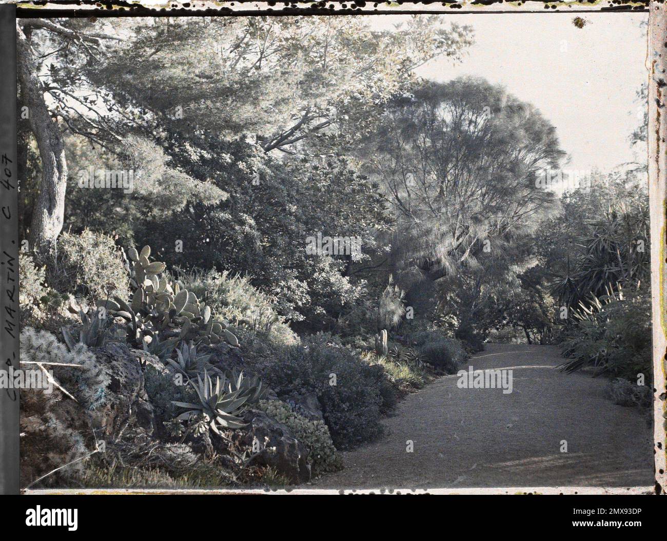 Property of Albert Kahn, Cap Martin, Alpes-Maritimes, France an alley ...