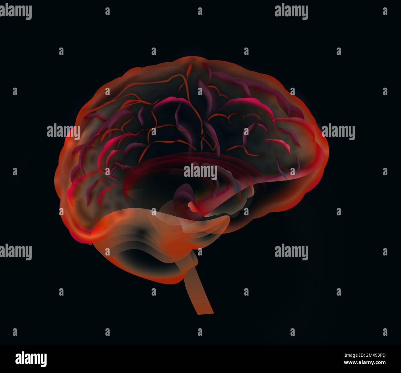 Illustration of human brain on black background Stock Photo - Alamy