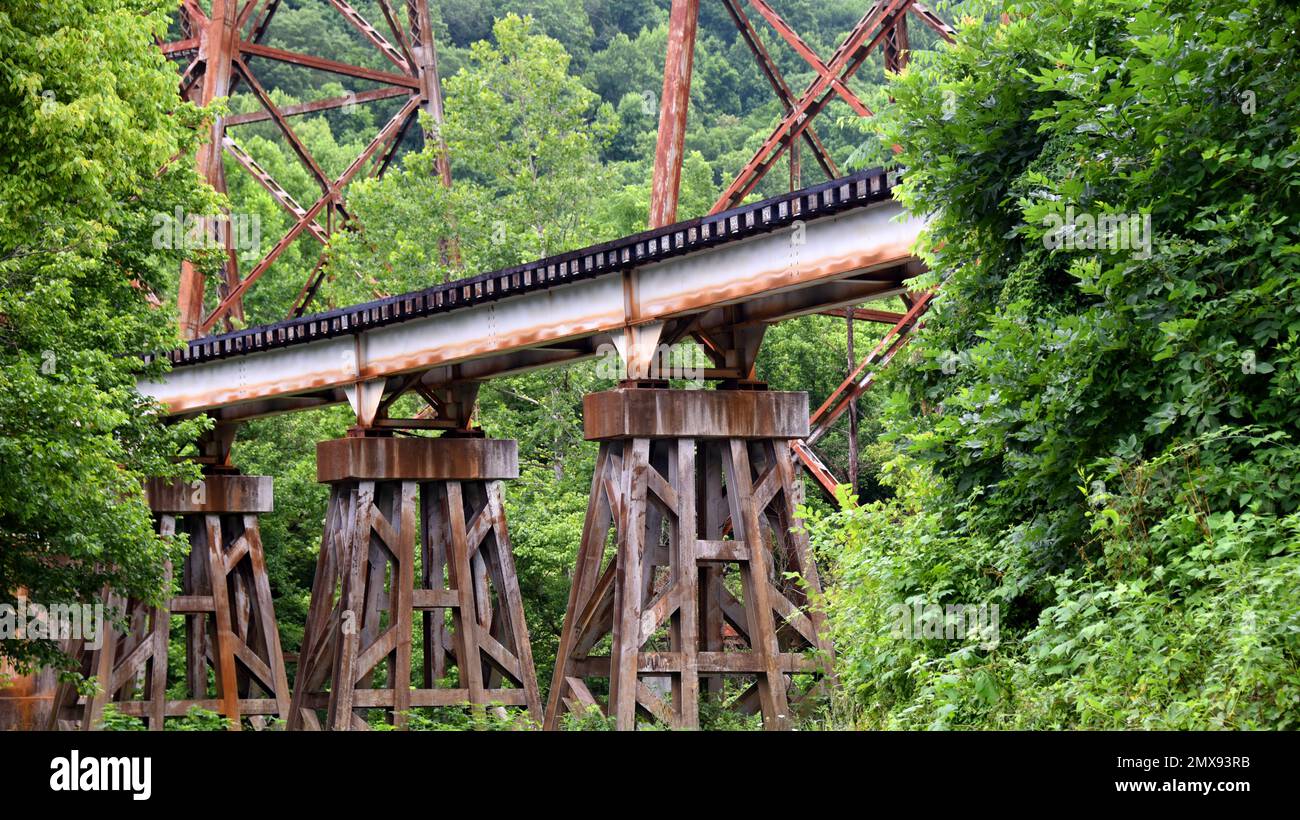 Double bridge trusses and girders stand side by side and provide ...