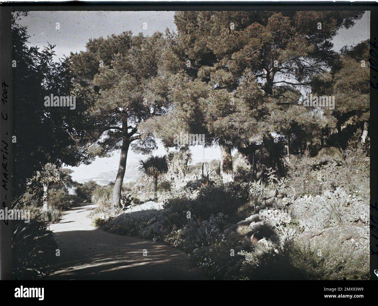 Cap Martin , France , 1927 - Cap Martin - Auguste Léon - (March -April ...