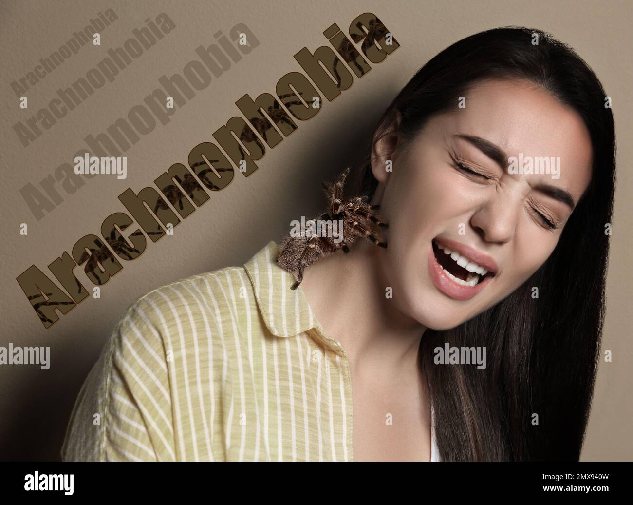 Therapy for fear spider hi-res stock photography and images - Alamy