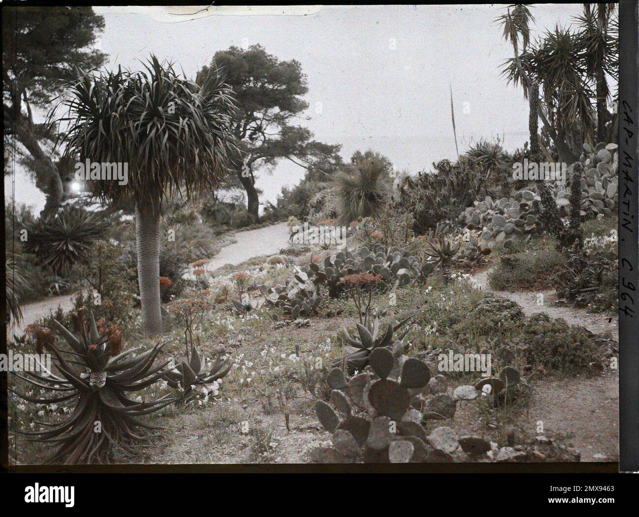 Cap Martin , France , 1927 - Cap Martin - Auguste Léon - (March -April ...
