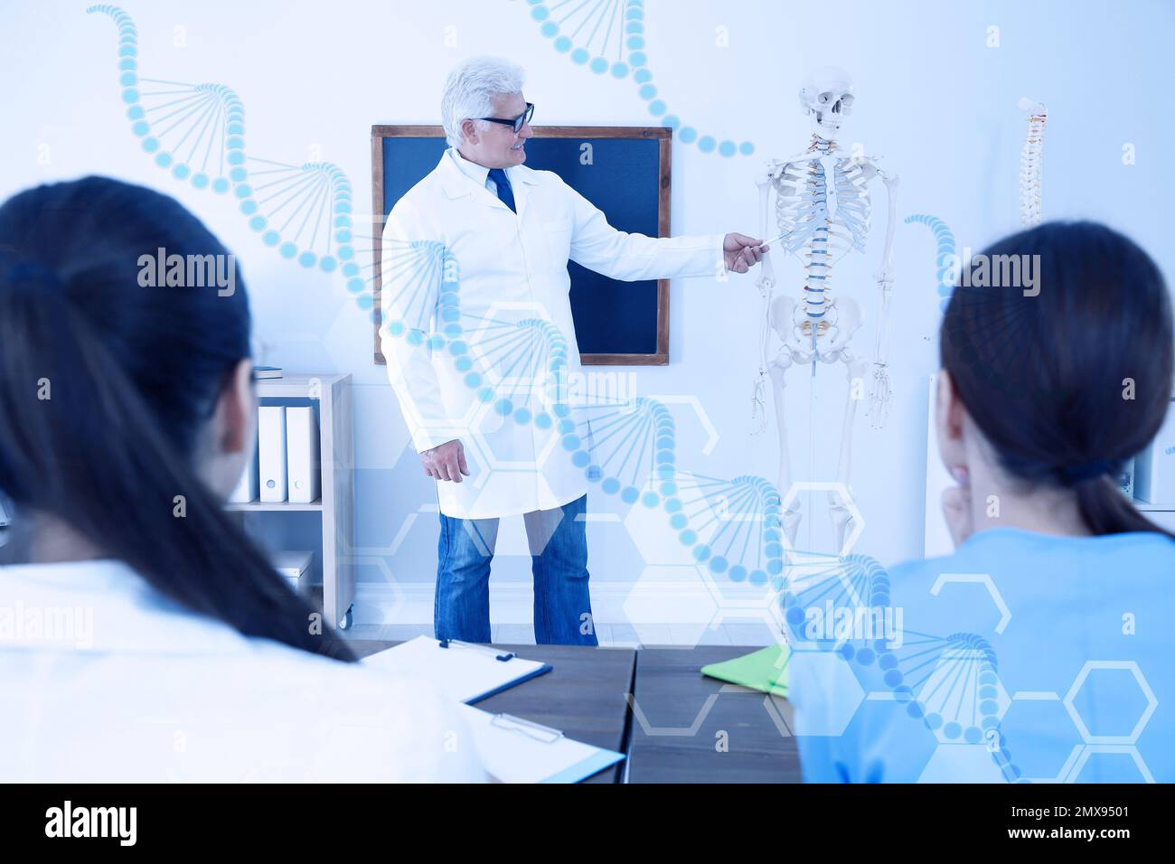 Medical students and professor studying human skeleton anatomy in ...