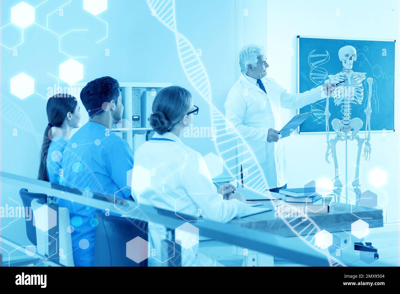 Medical students and professor studying human skeleton anatomy in ...