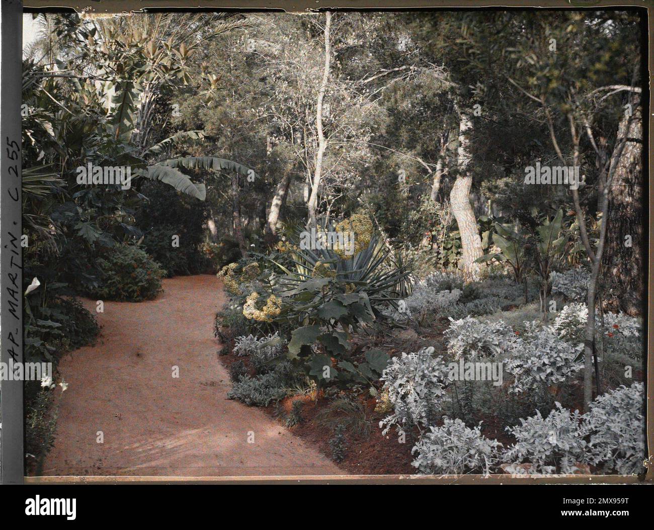 Cap Martin , France , 1914 - Cap Martin - Auguste Léon - (March Stock ...