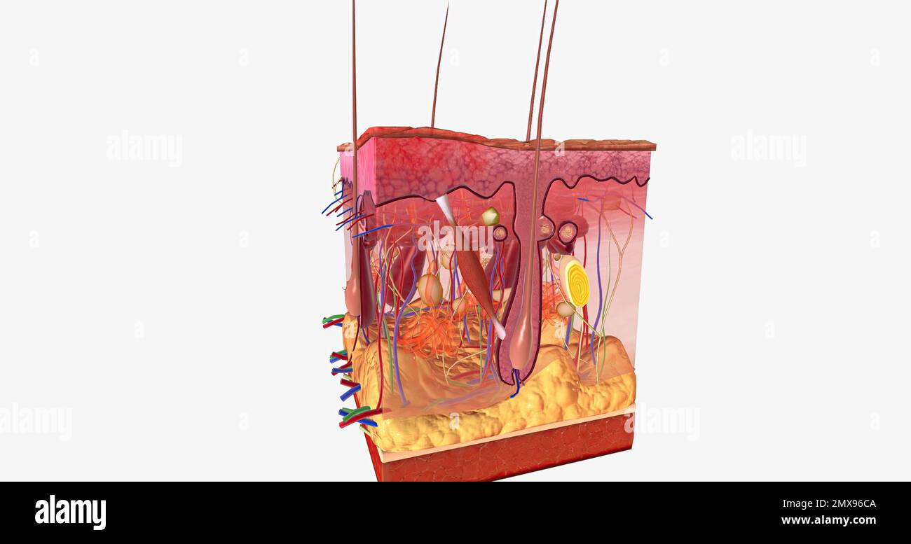 Fire burn patient treatment hi-res stock photography and images - Alamy