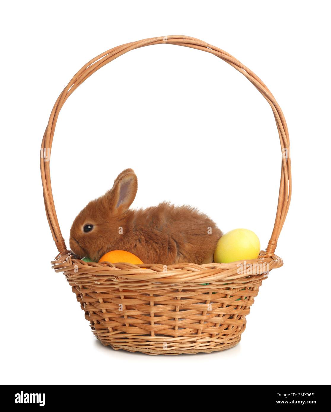 Adorable fluffy bunny in wicker basket with Easter eggs isolated on ...