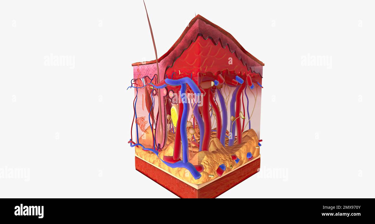 Superficial damage hi-res stock photography and images - Alamy