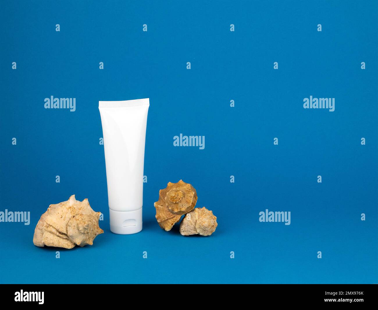 White tube and whelk seashells on blue background, copy space. Mockup ...