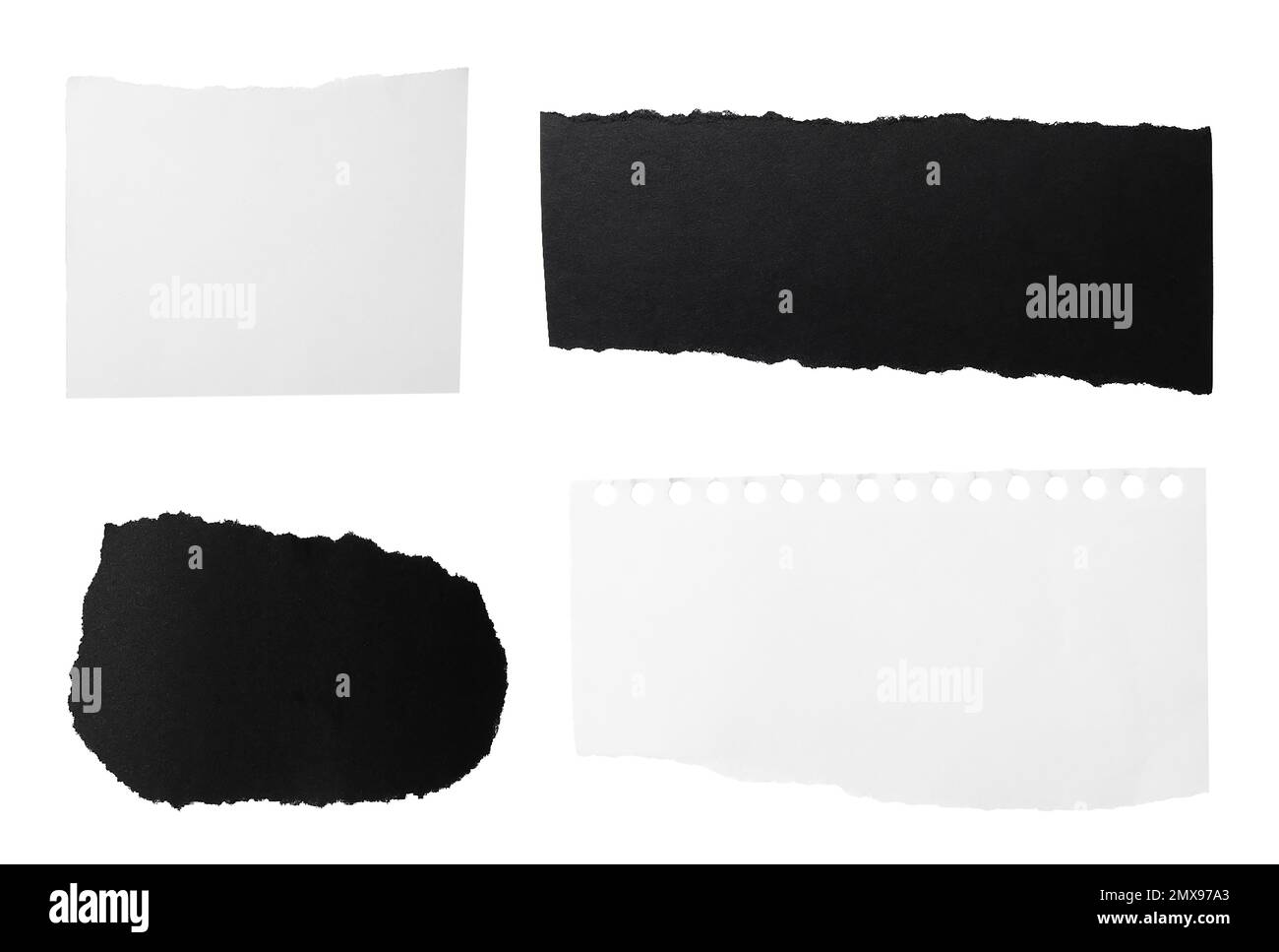 Set of different ripped notebook papers on white background Stock Photo ...