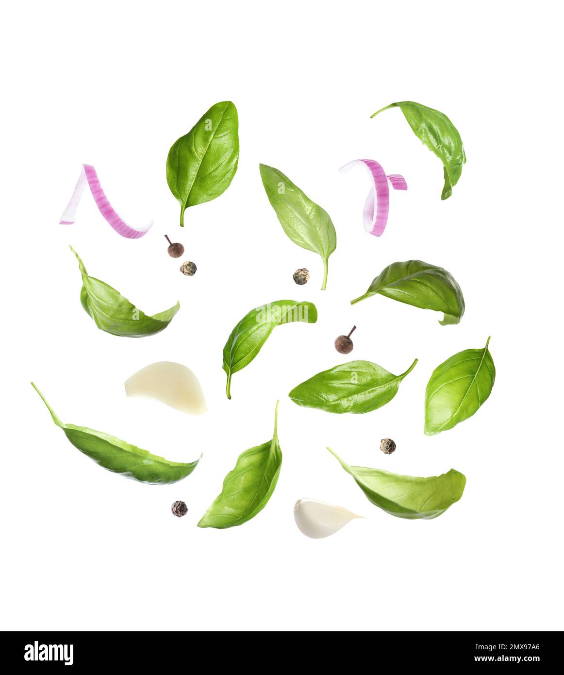 Basil leaves and other ingredients falling on white background Stock ...