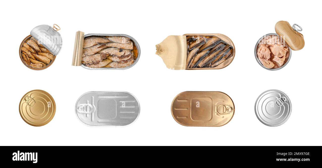 Set of different canned fish on white background, top view. Banner ...