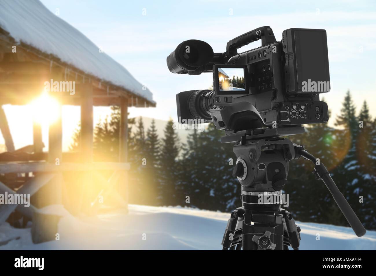 Recording view of gazebo near forest on professional video camera Stock ...