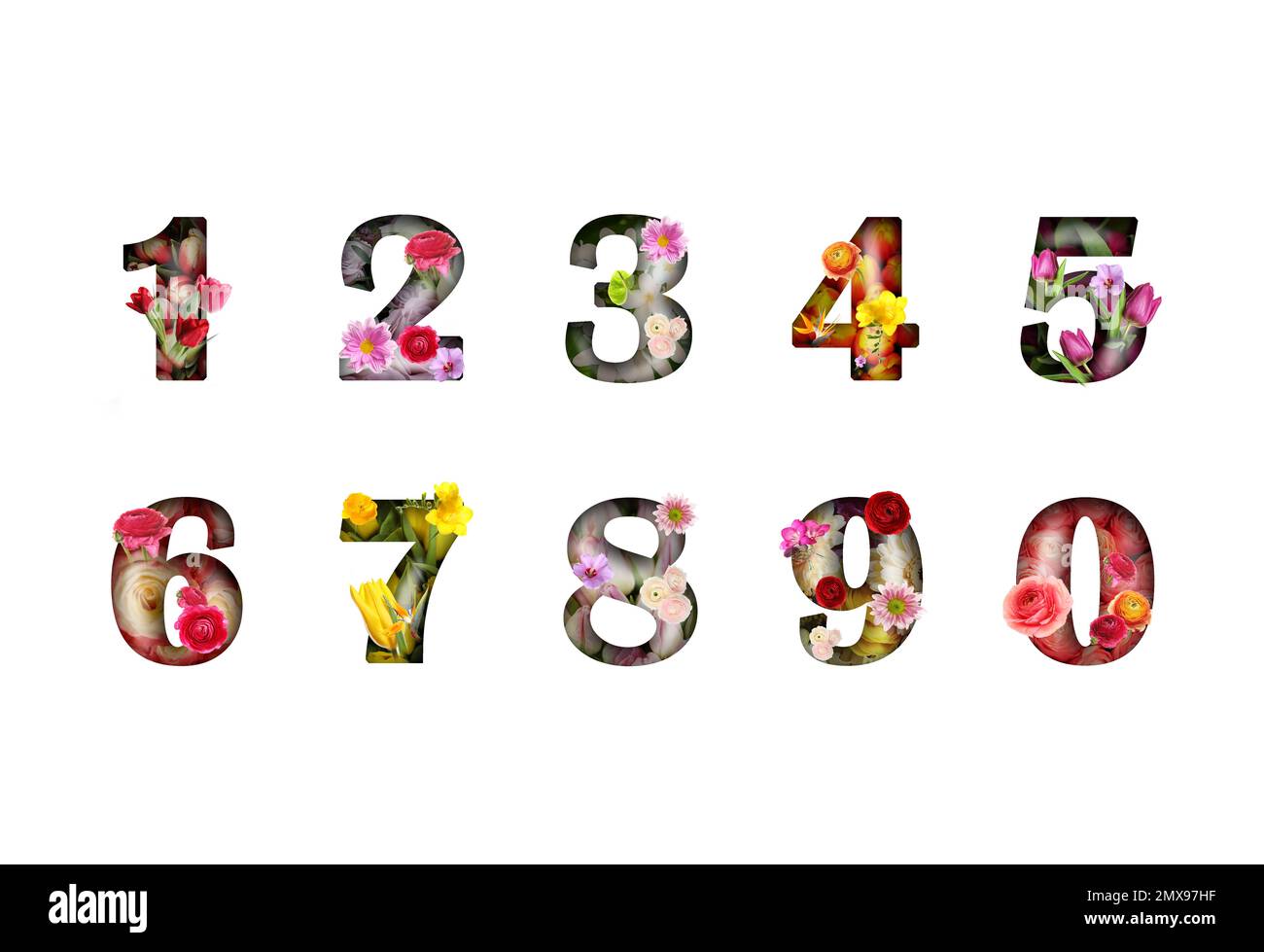 Numbers made of flowers on white background Stock Photo - Alamy