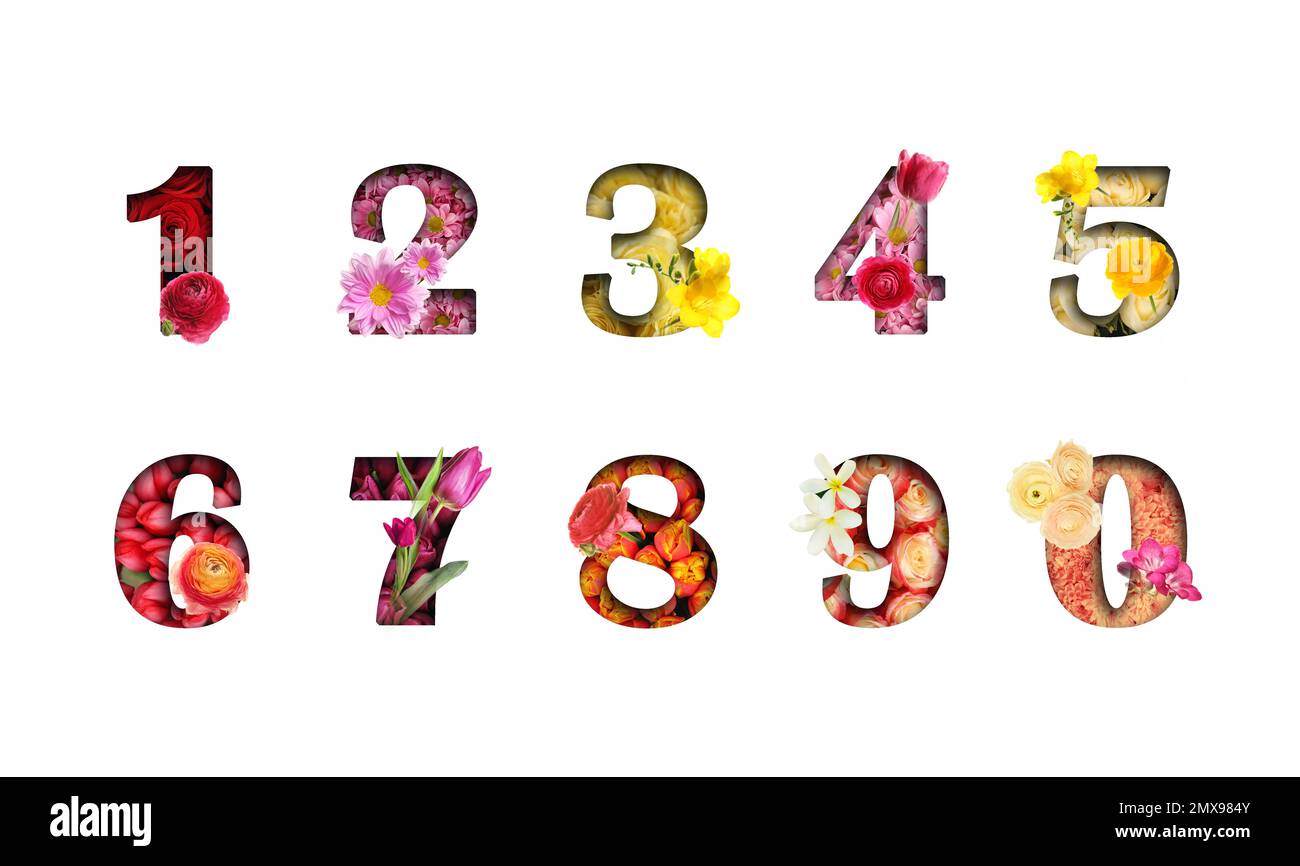 Numbers made of flowers on white background Stock Photo - Alamy