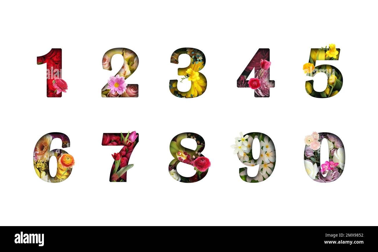 Numbers made of flowers on white background Stock Photo - Alamy
