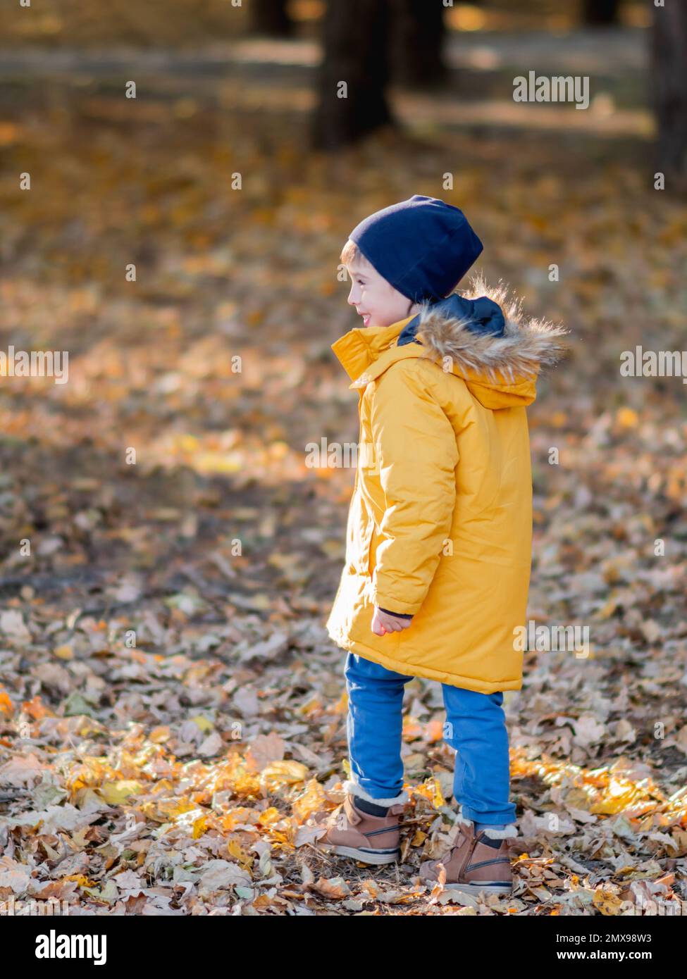 Little boy in yellow jacket walks at park. Autumn sunny day. Leisure ...
