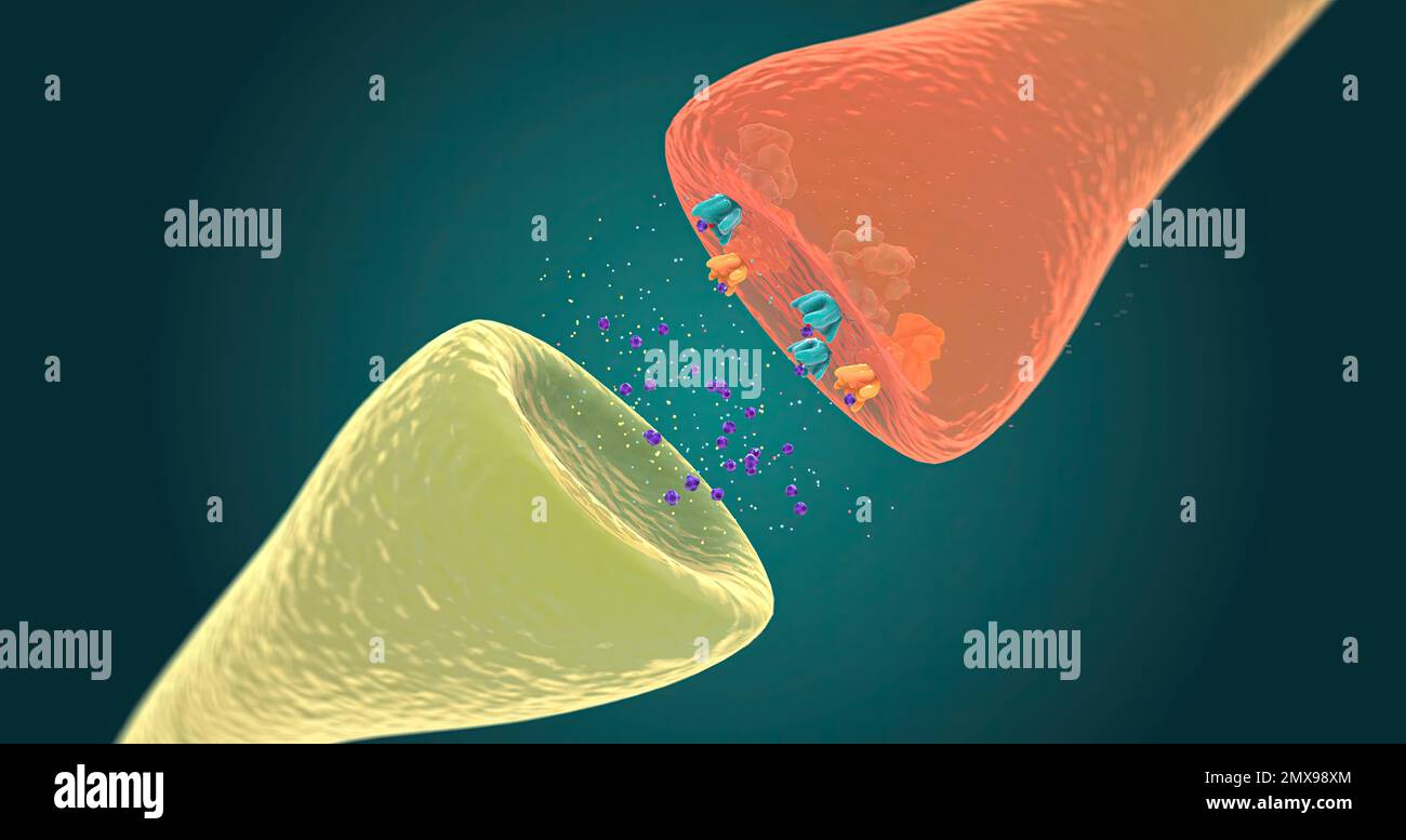Acute renal kidney failure hi-res stock photography and images - Alamy