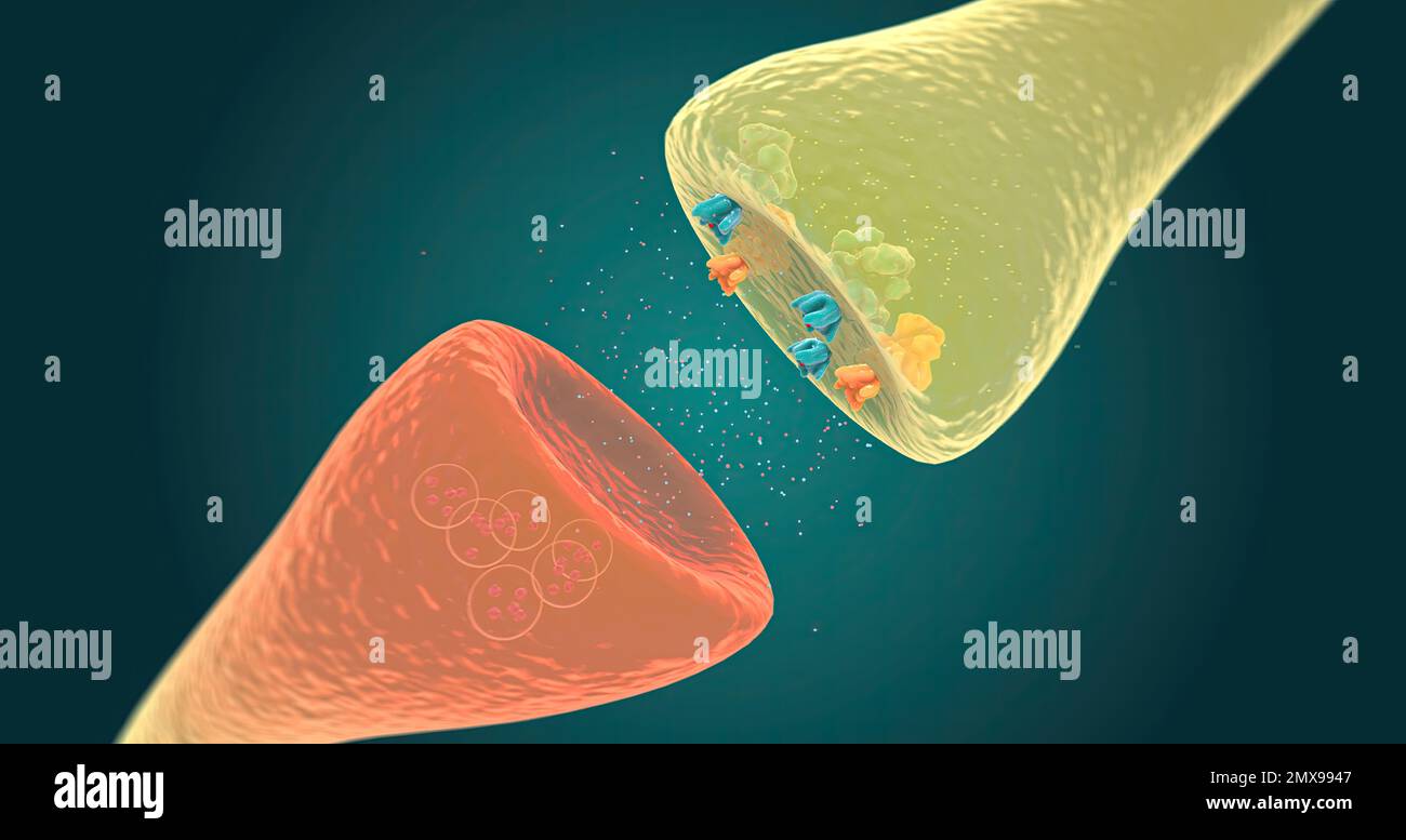 Backache woman rendering hi-res stock photography and images - Alamy