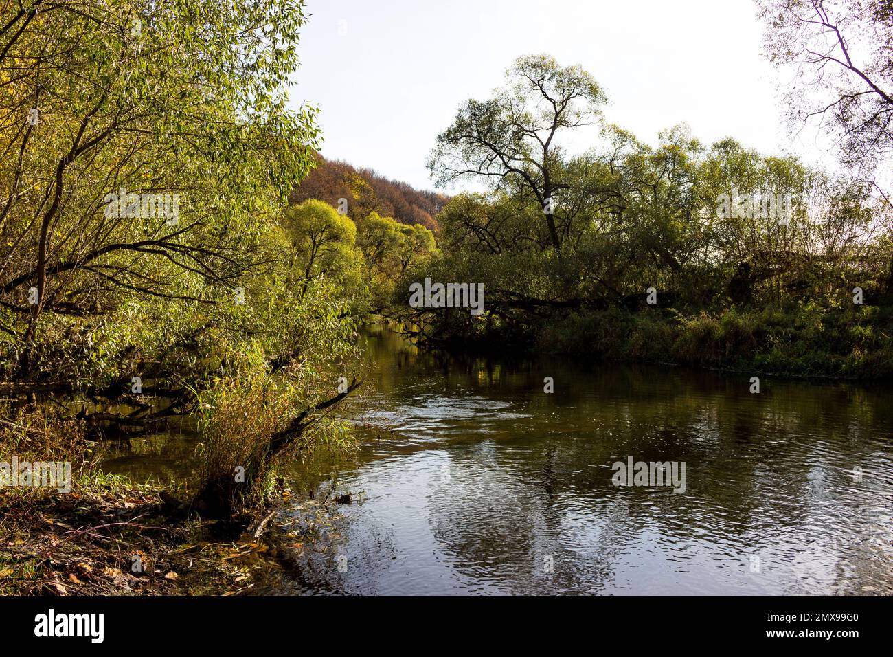 View of the Nara River on the border of the Moscow region and Kaluga ...