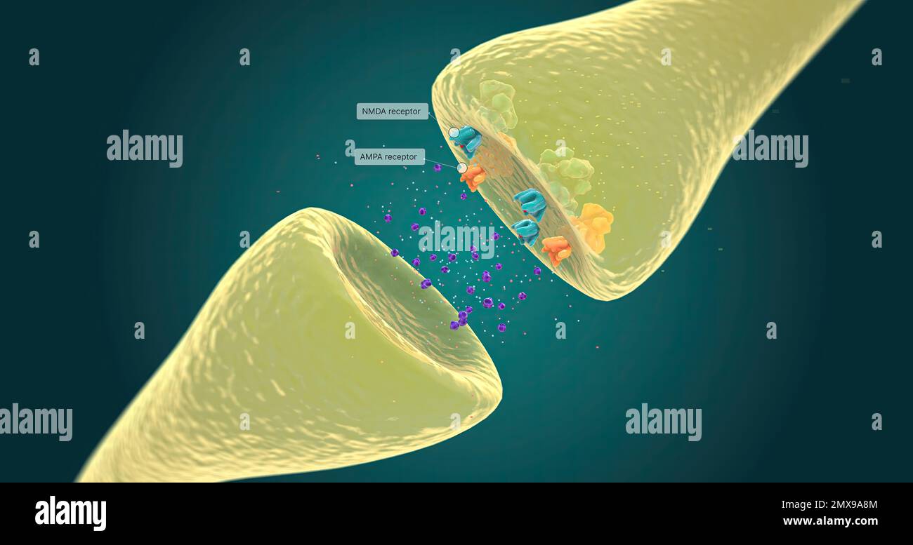 Backache woman rendering hi-res stock photography and images - Alamy