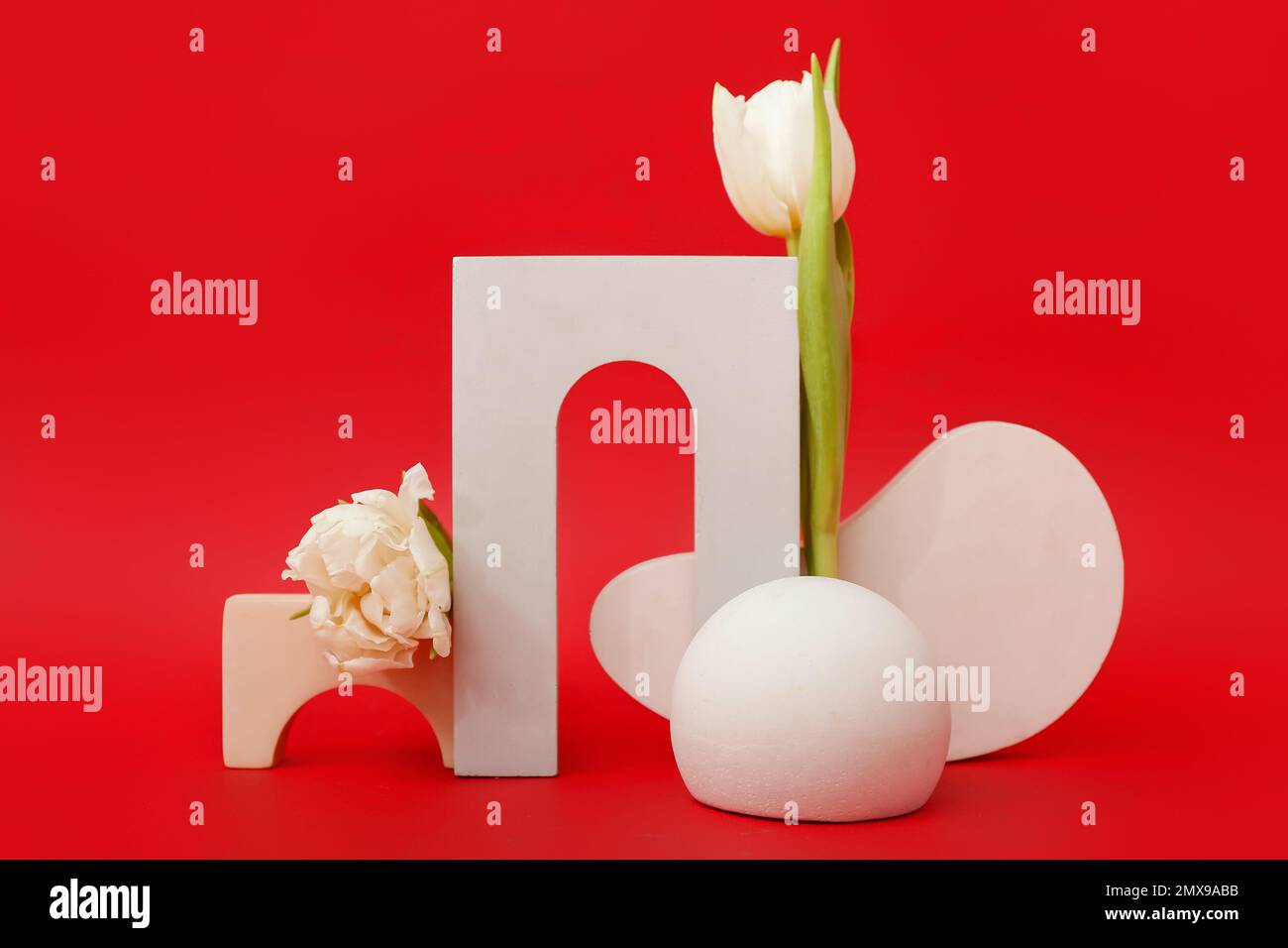 Podiums with white tulips on red background. Hello spring Stock Photo ...