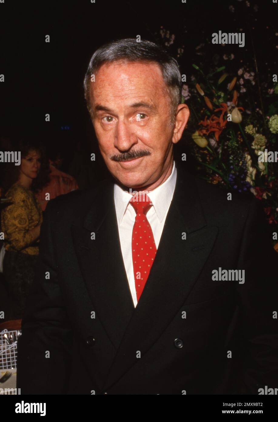 Don Adams at the 5th Annual Television Festival Opening Party in Los ...