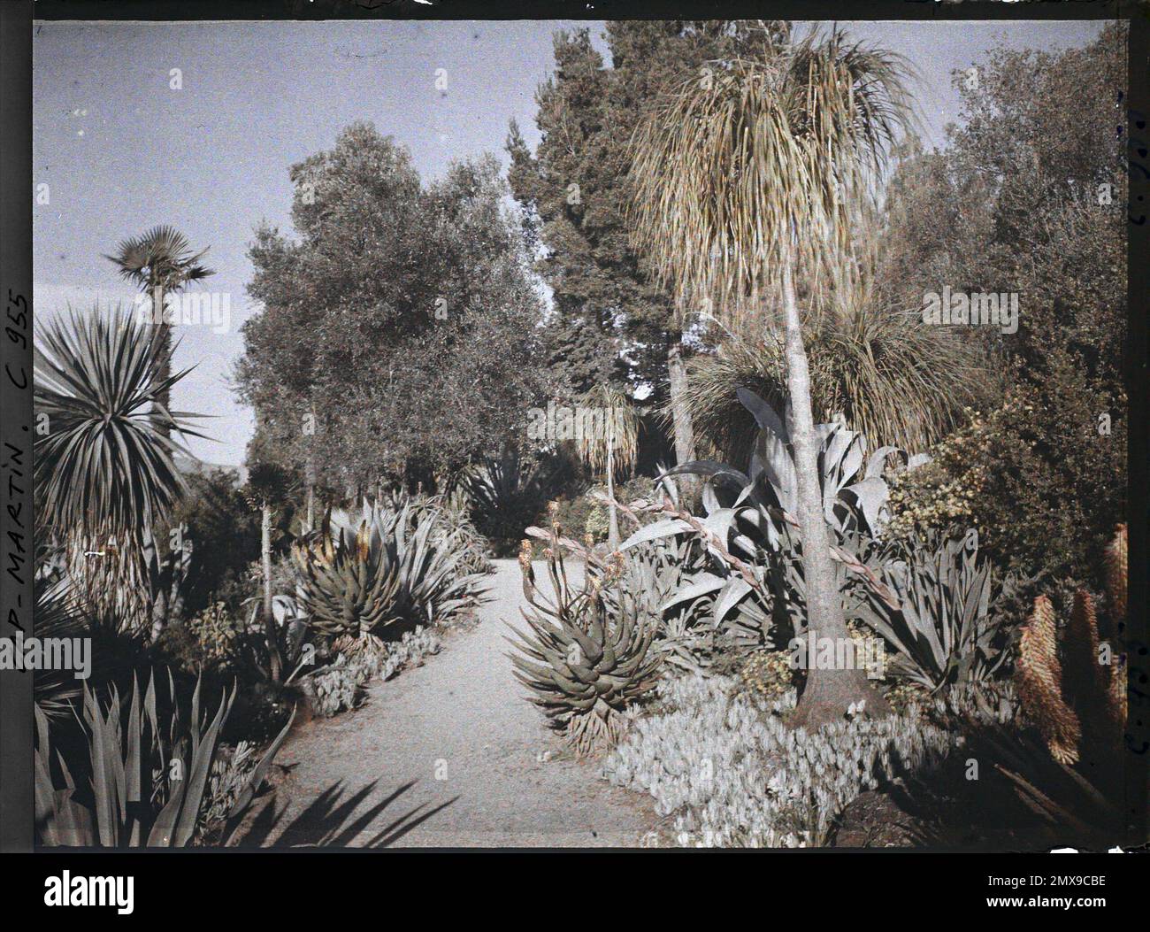 Cap Martin , France , 1927 - Cap Martin - Auguste Léon - (March -April ...