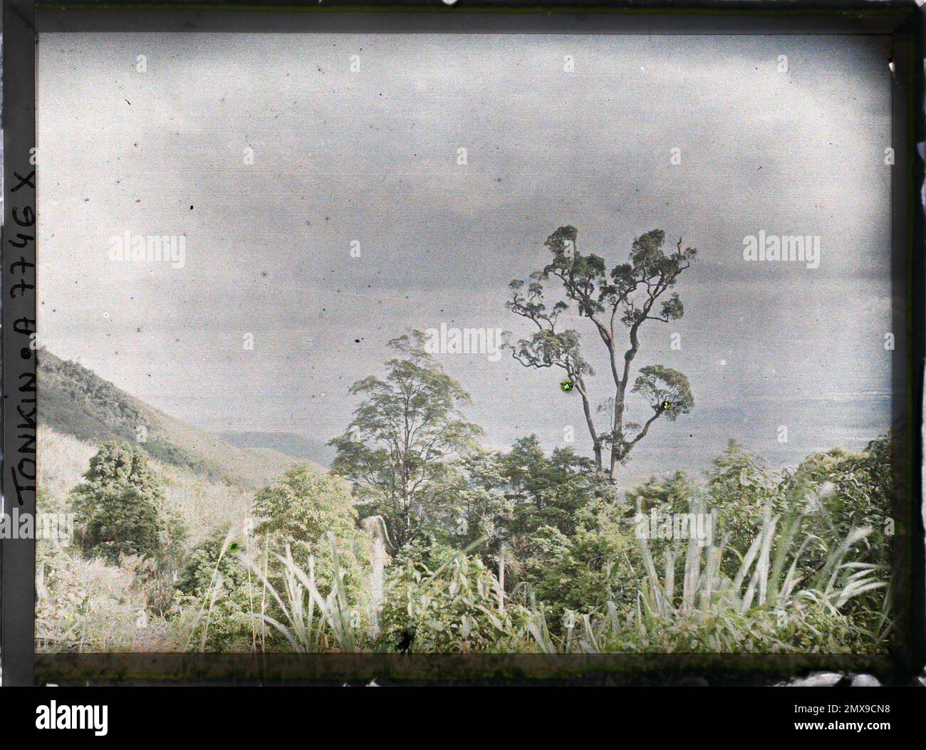 Province of Vinh-Yên, Tonkin, Indochina A landscape taken from the Tam ...