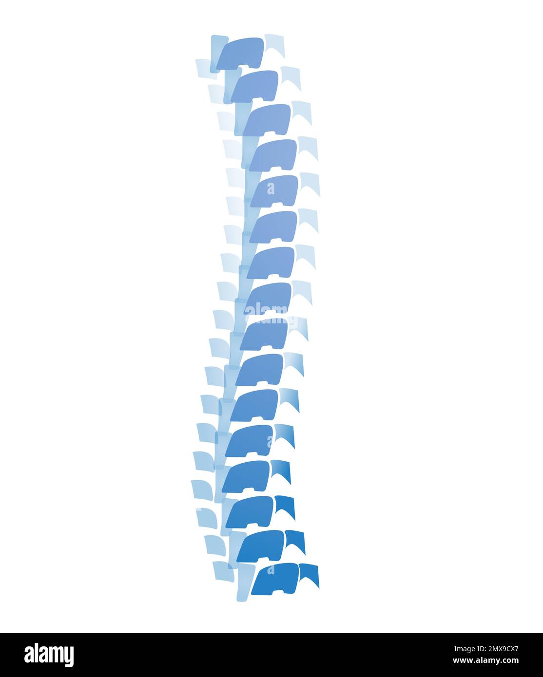 Illustration of human spine on white background Stock Photo - Alamy