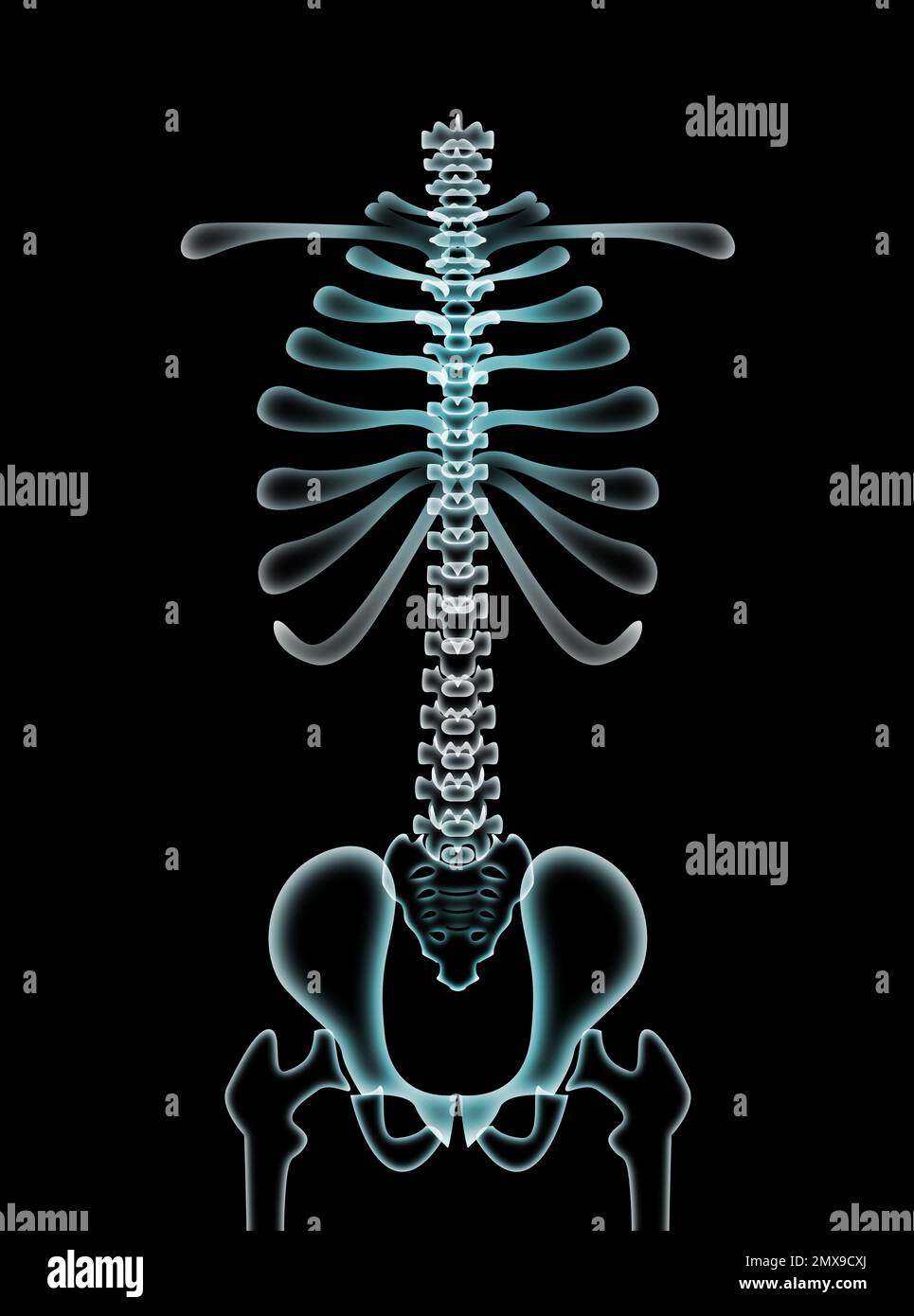 Illustration of human spine on black background Stock Photo - Alamy