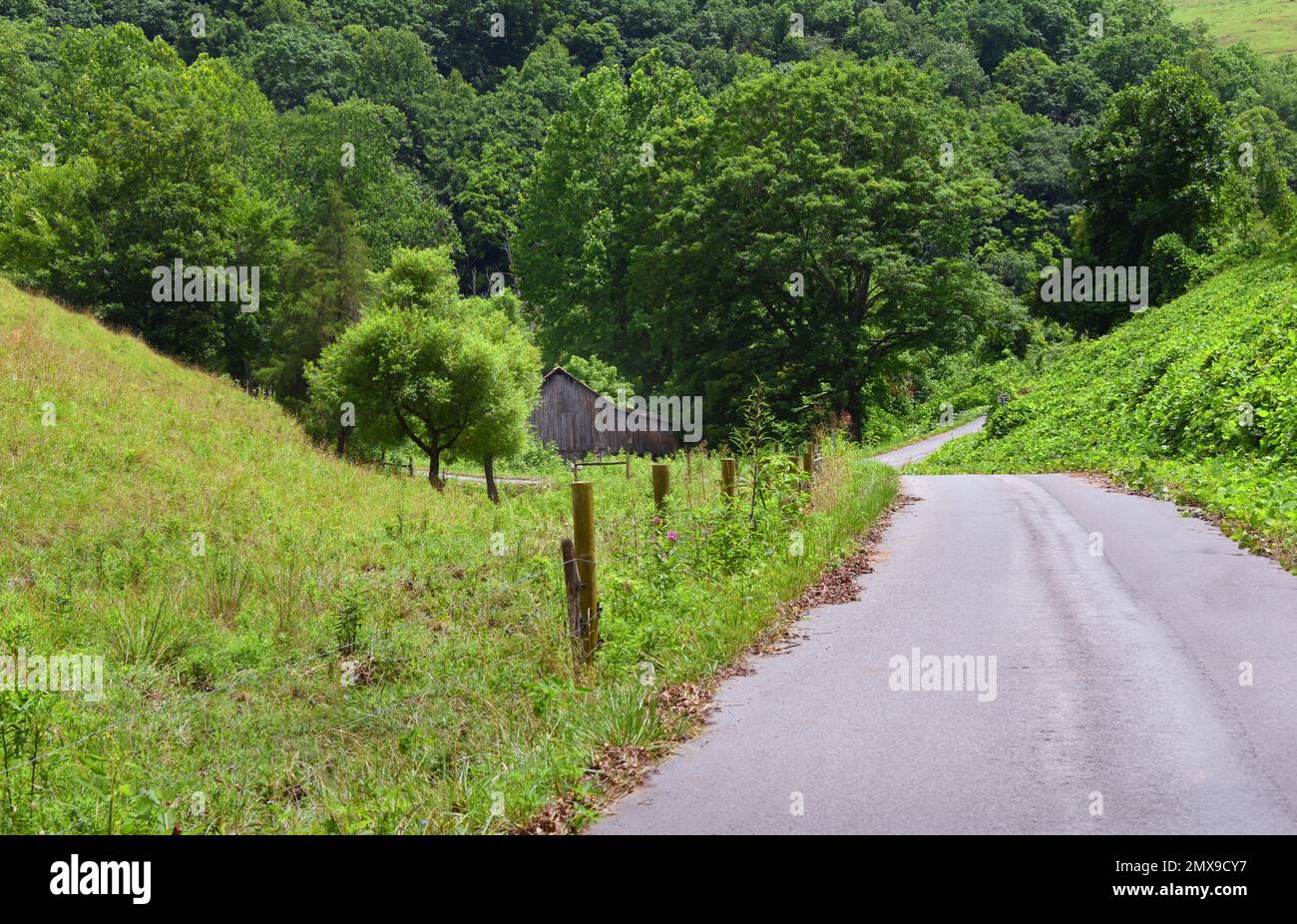 Abandoned wooden barn sits in curve of a narrow country road in the ...