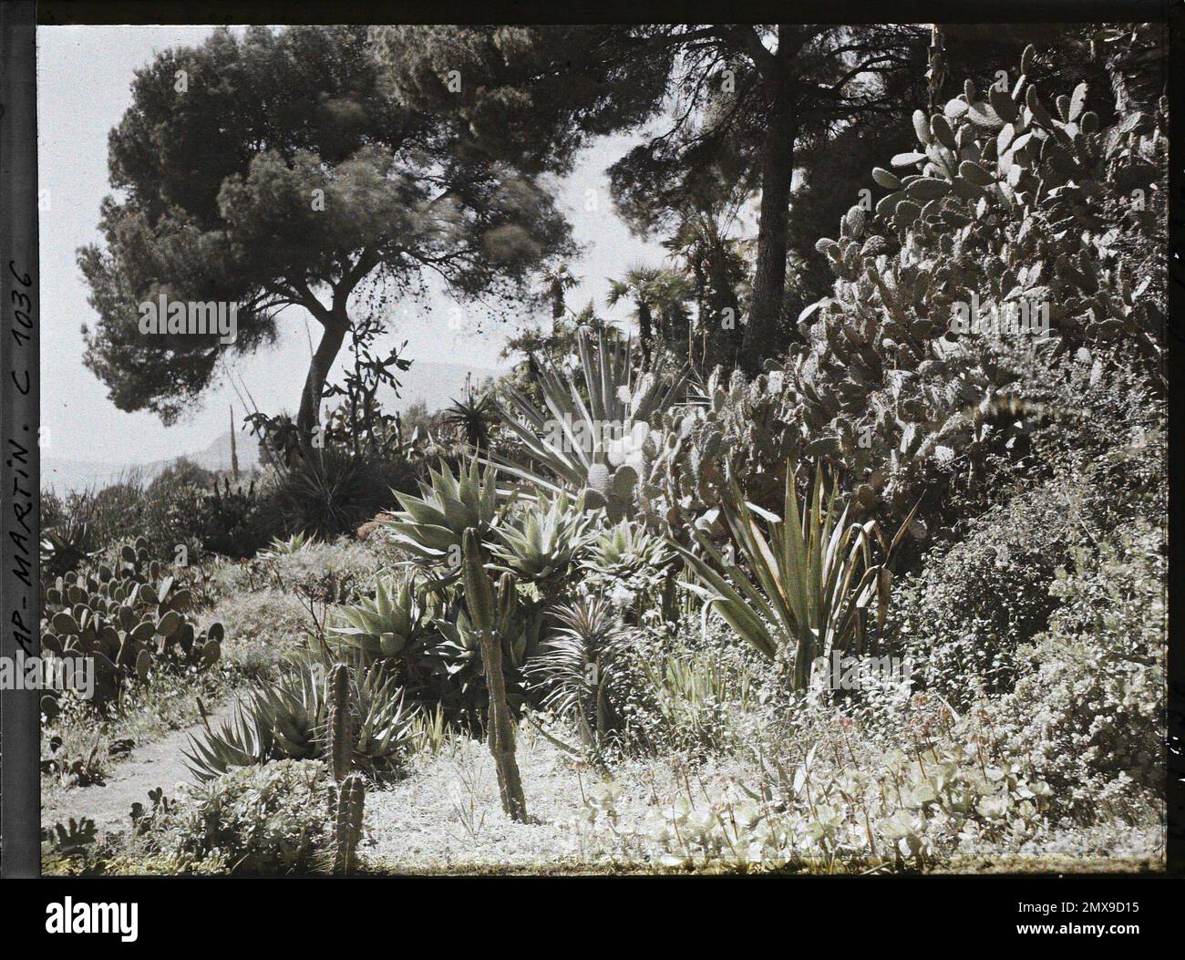 Cap Martin , France , 1927 - Cap Martin - Auguste Léon - (March -April ...