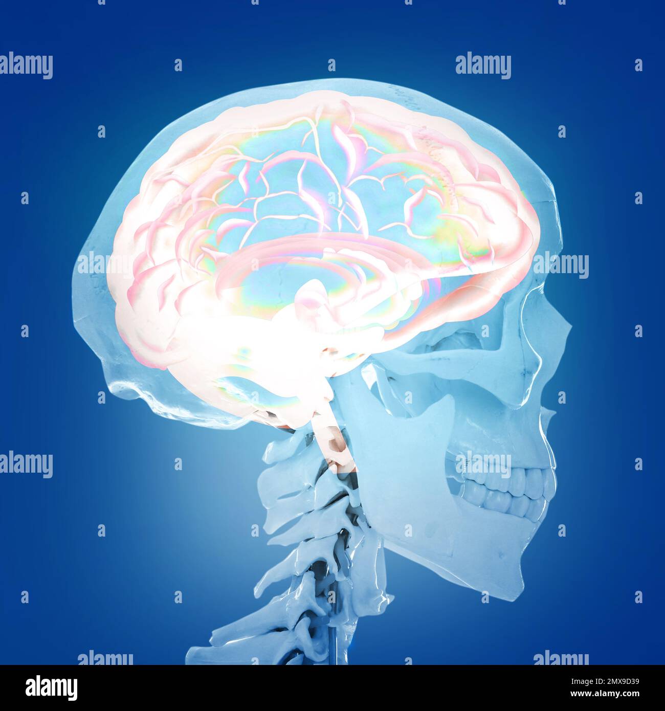 Artificial human skeleton model on blue background. Medical scan of ...
