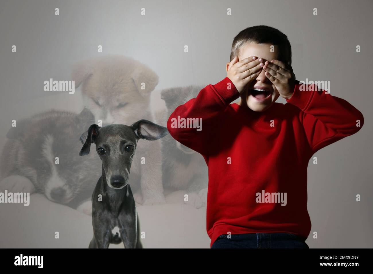 Scared little boy suffering from cynophobia on beige background ...
