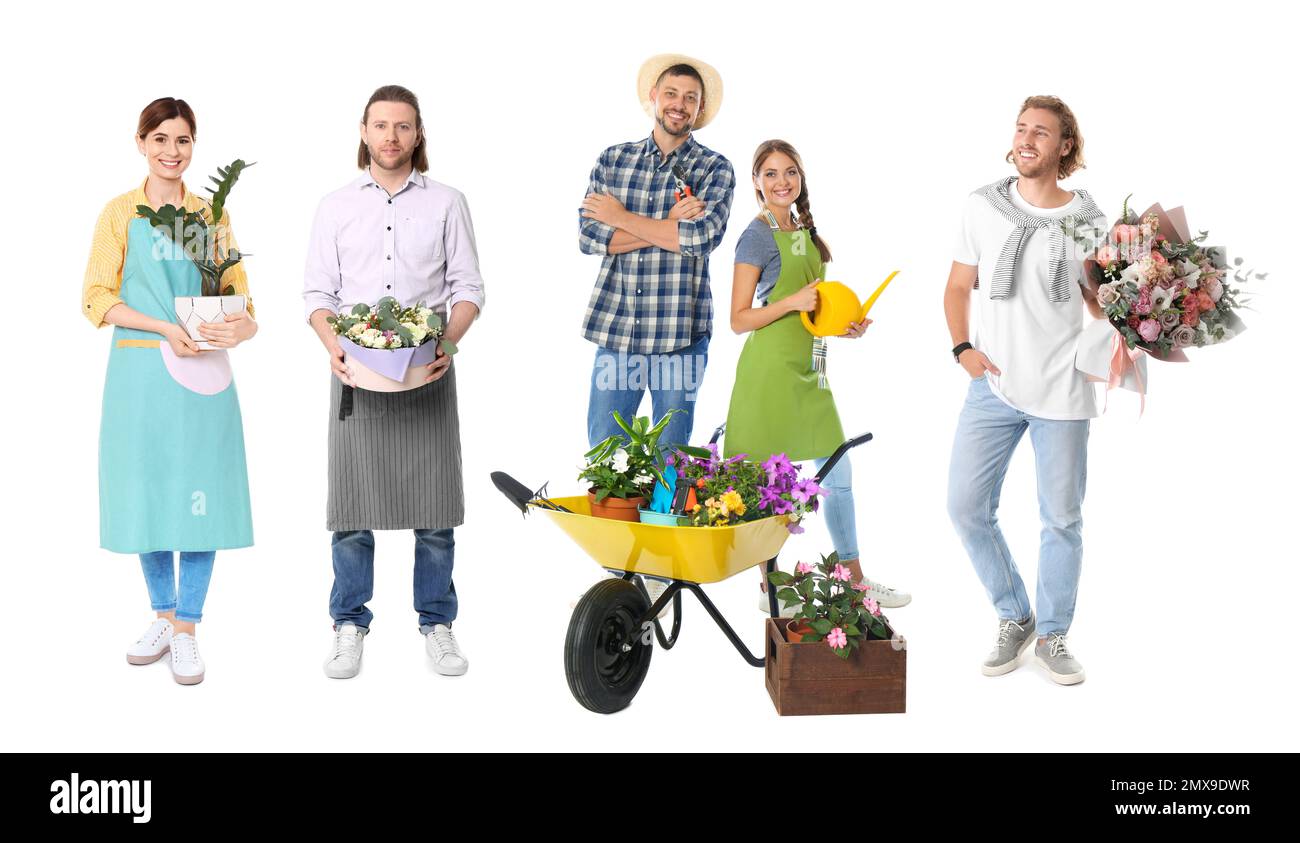Collage of florists with plants on white background Stock Photo - Alamy