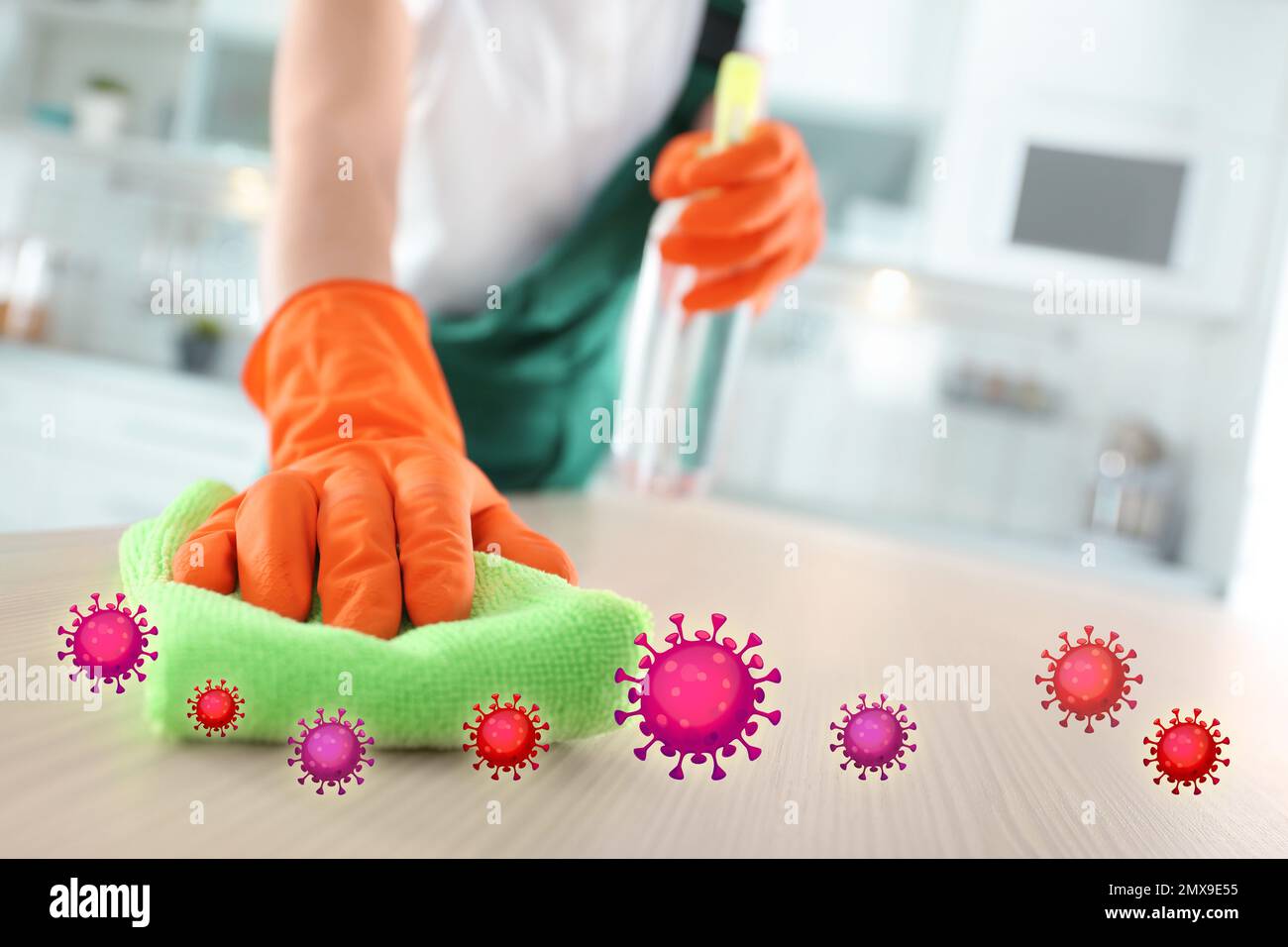 Cleaning vs viruses. Woman washing table with sponge and disinfecting ...